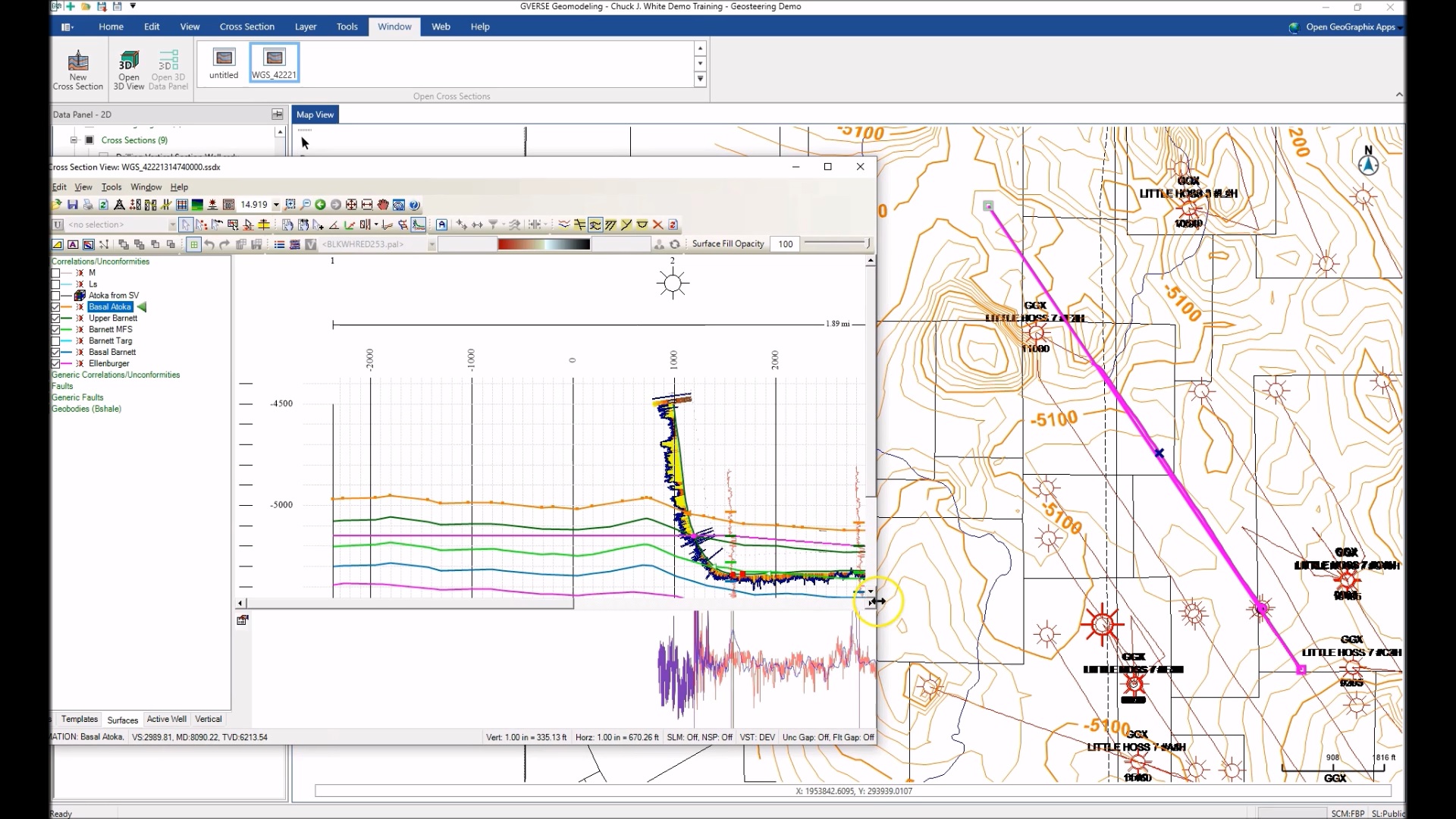 Powerful mapping, geological, geophysical & petrophysical ...